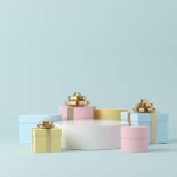 Portfolios – Topigent Consultancy